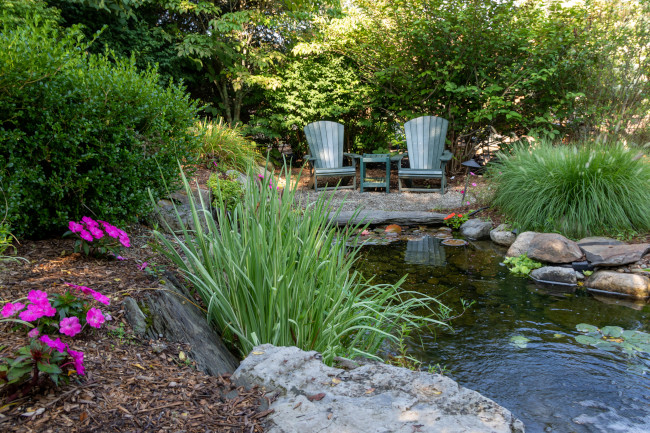 What Does a Certified Pond Professional Do? | Aquatic Lifestyles, LLC