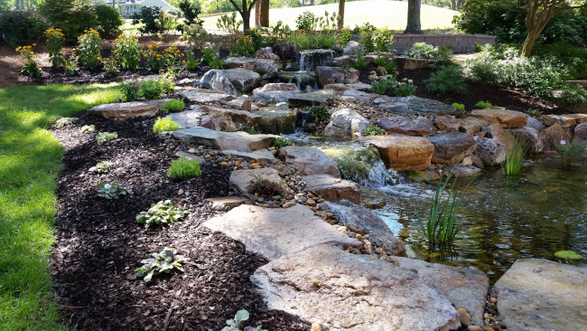 Certified Pond Professional, Columbia | Aquatic Lifestyles